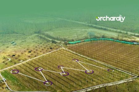 How to collect soil sample from your orchard - Orchardly® Grow