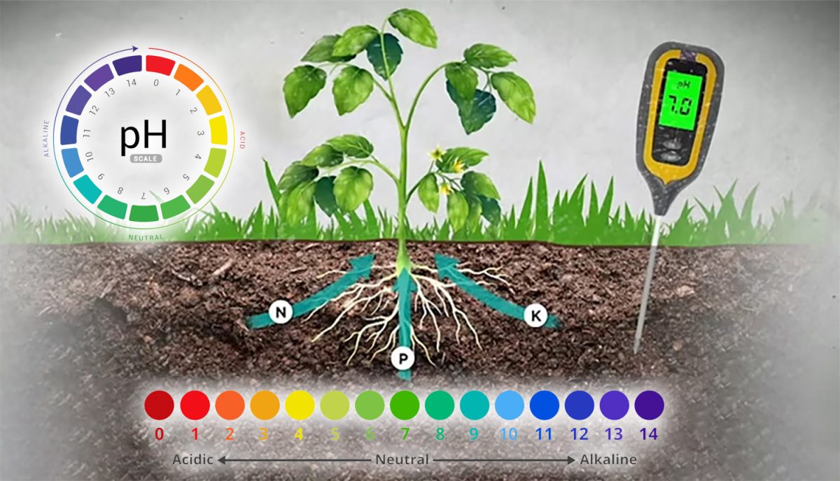 Optimizing Soil pH: Enhancing Nutrient Management - Orchardly® Grow