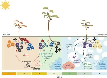 Optimizing Soil pH: Enhancing Nutrient Management - Orchardly® Grow