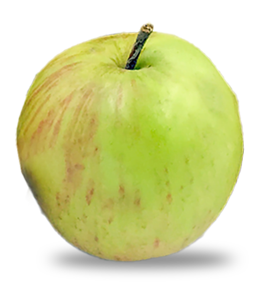 Know all your Apple varieties - Orchardly® Grow