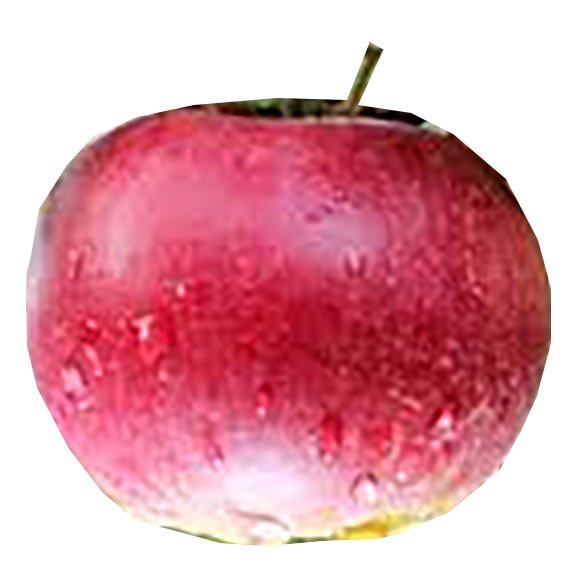 Know all your Apple varieties - Orchardly® Grow